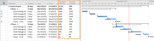 Planned and Actual Percent Complete in MS Project Planned and Actual Percent Complete in MS Project